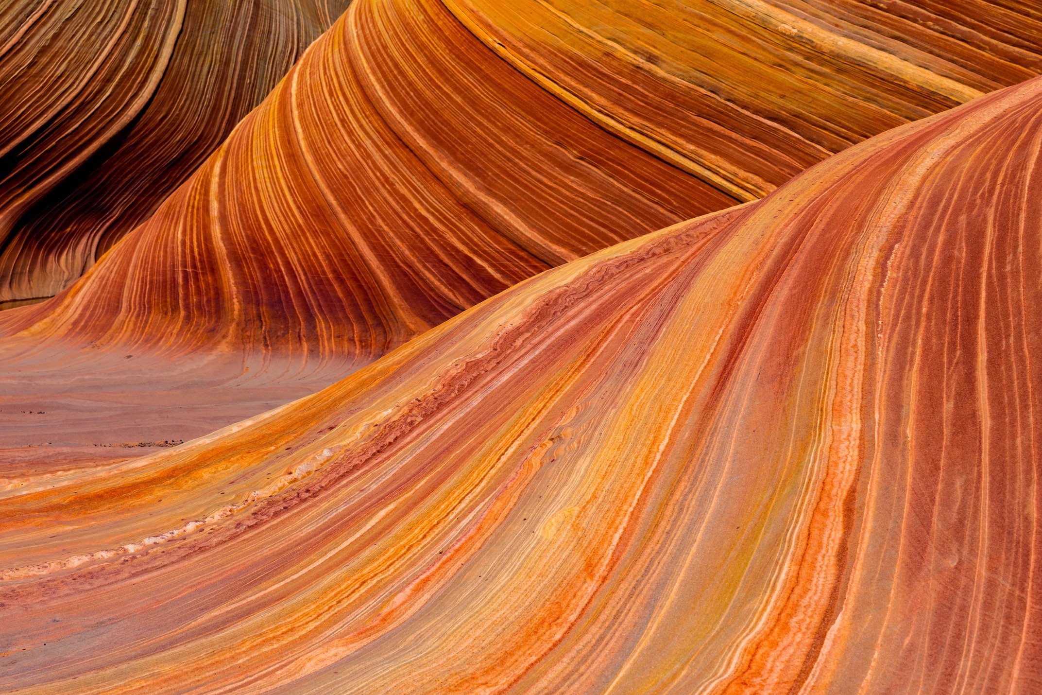AI Content Quality and the Importance of Review Layers - Extanto